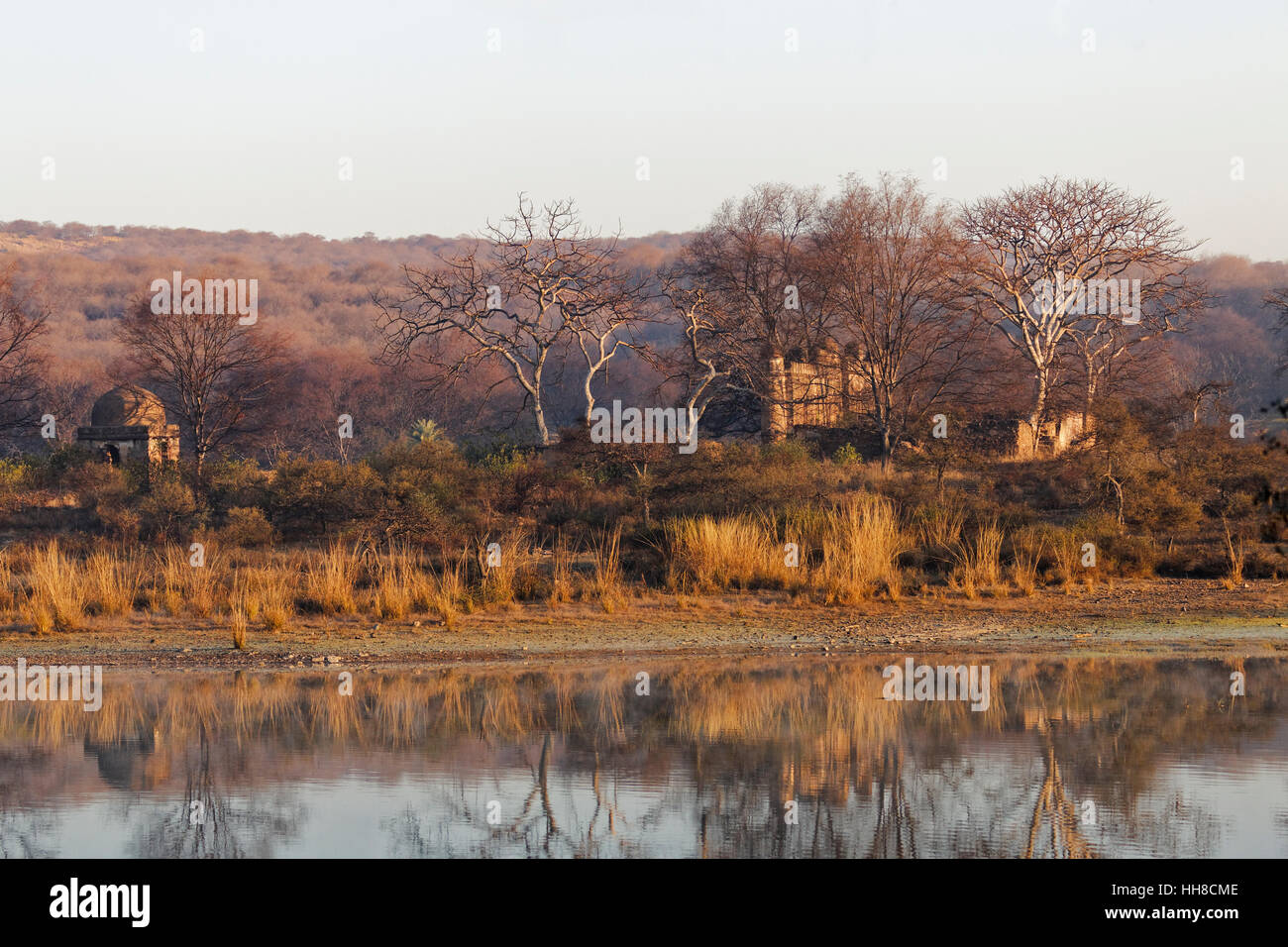 Jogi mahal ranthambore india hi-res stock photography and images - Alamy