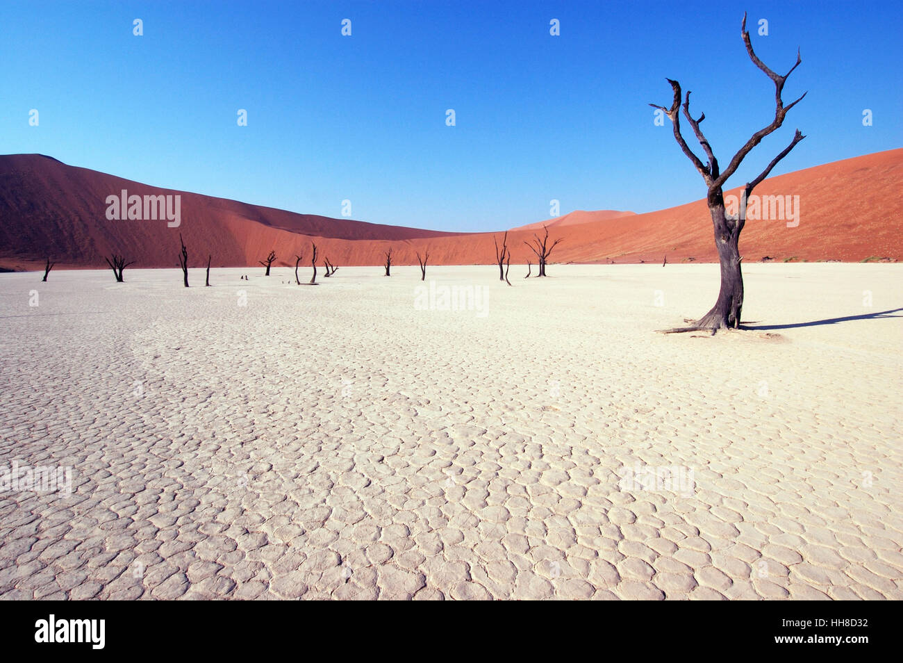 desert, wasteland, namibia, dune, arid, slim, sligth, lean, gaunt, thin ...