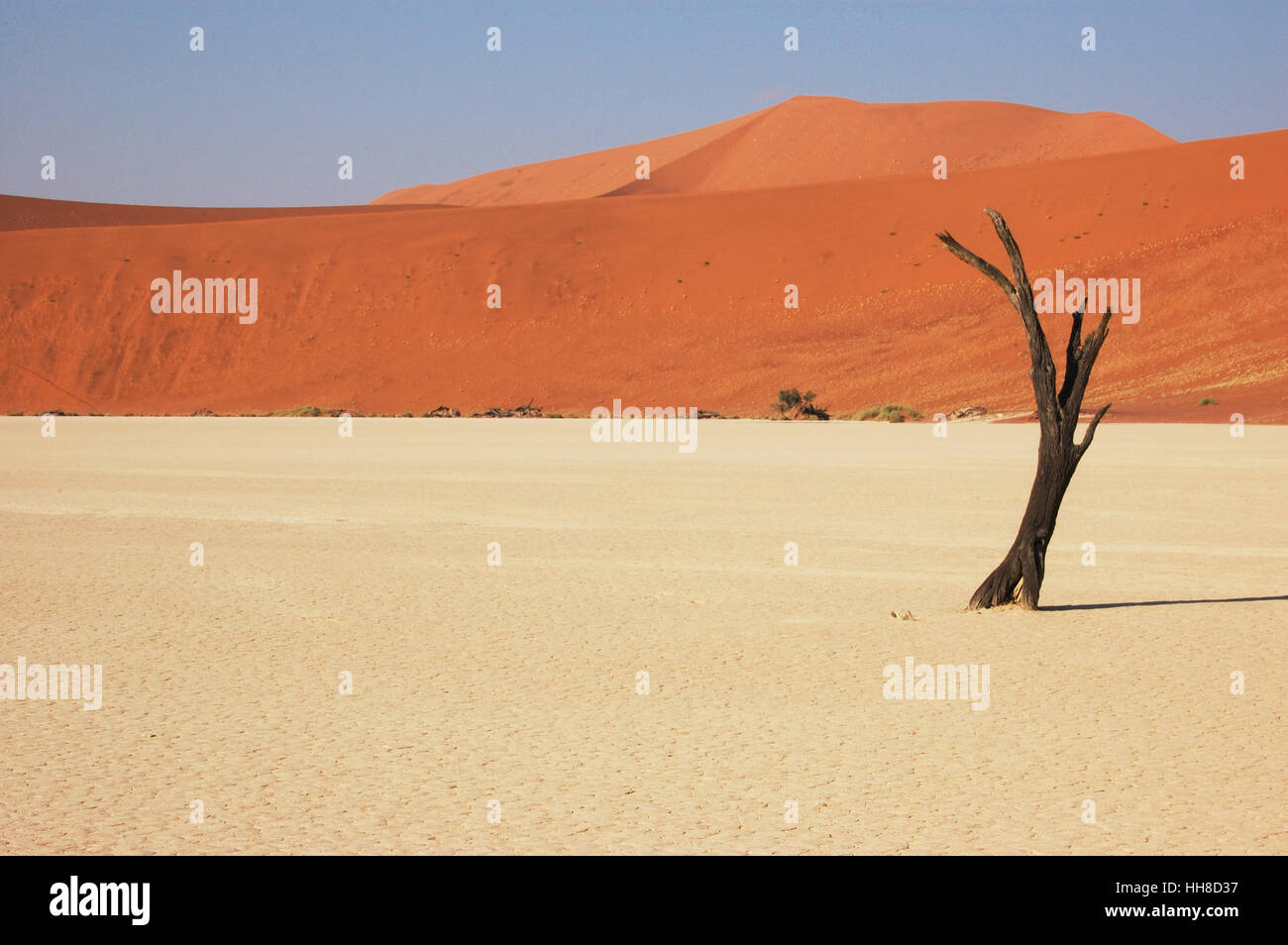 desert, wasteland, namibia, dune, arid, slim, sligth, lean, gaunt, thin ...