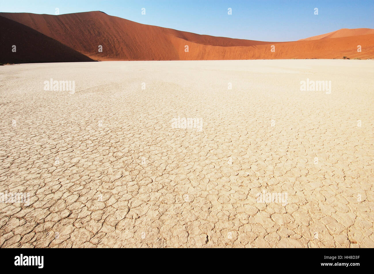 desert, wasteland, namibia, dune, arid, slim, sligth, lean, gaunt, thin ...