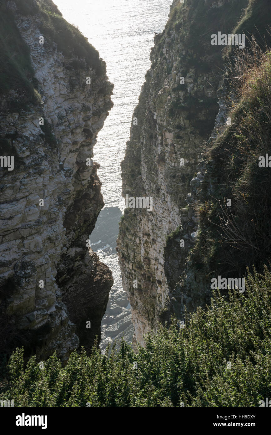 High chalky cliffs at Bempton on the east coast of England Stock Photo ...