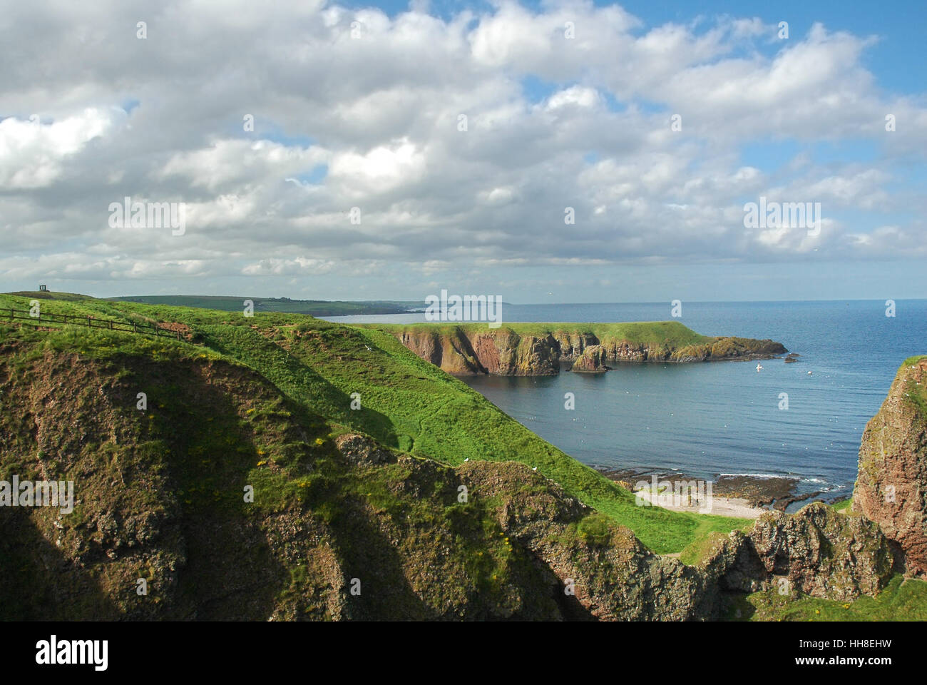 blue, humans, human beings, people, folk, persons, human, human being ...