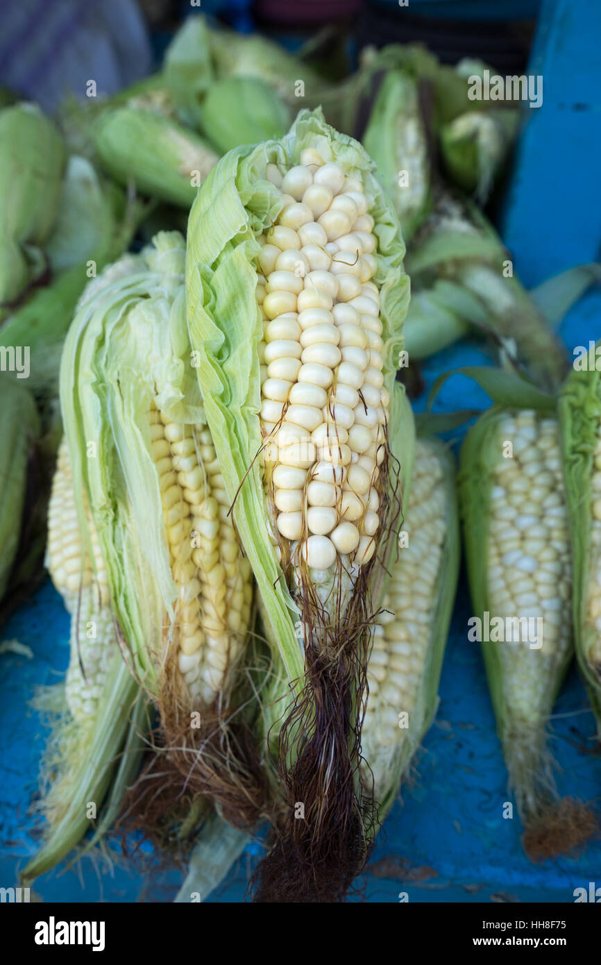 Indigenous corn in Otavalo,Ecuador Stock Photo - Alamy