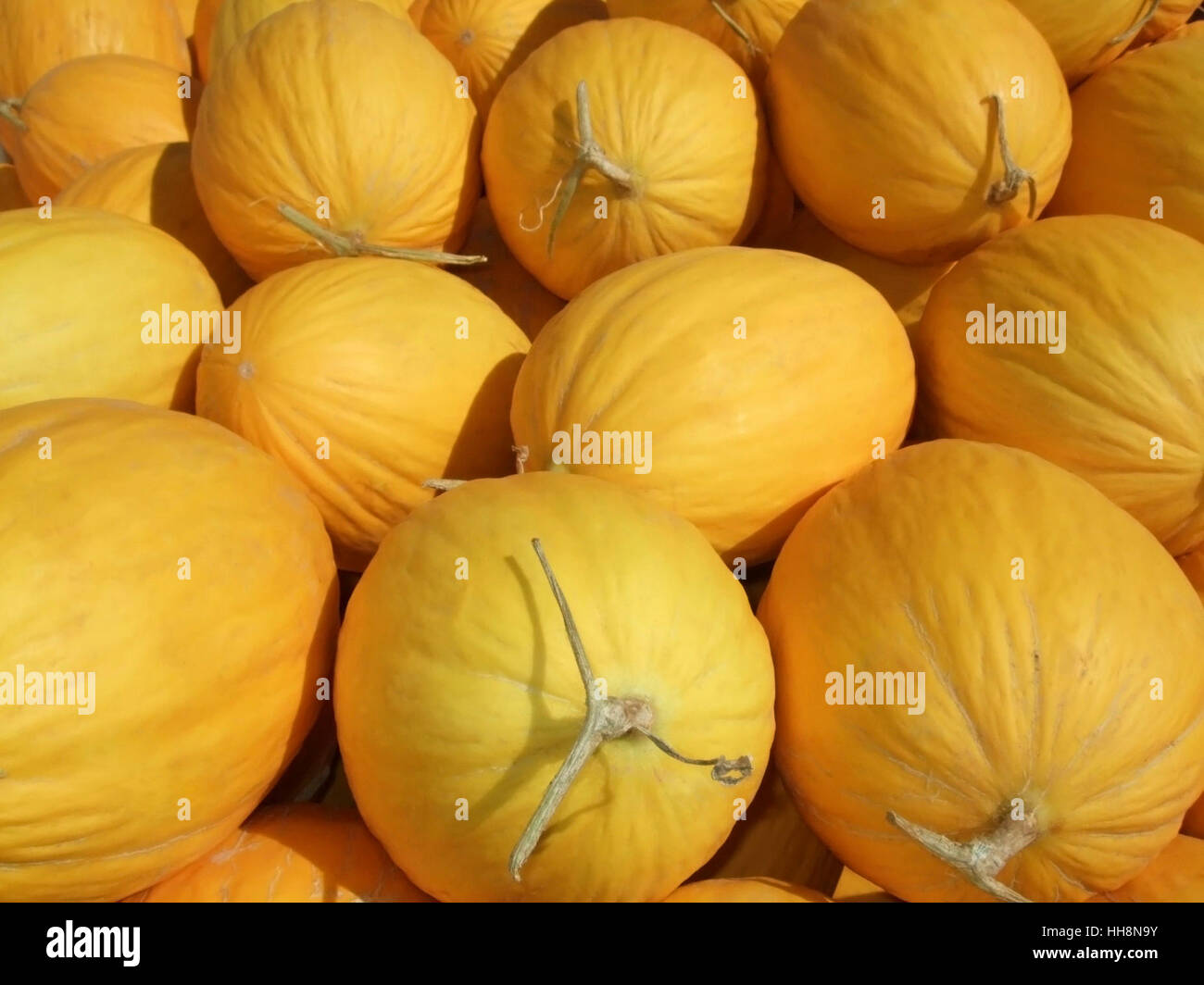 full frame background of yellow melons Stock Photo - Alamy