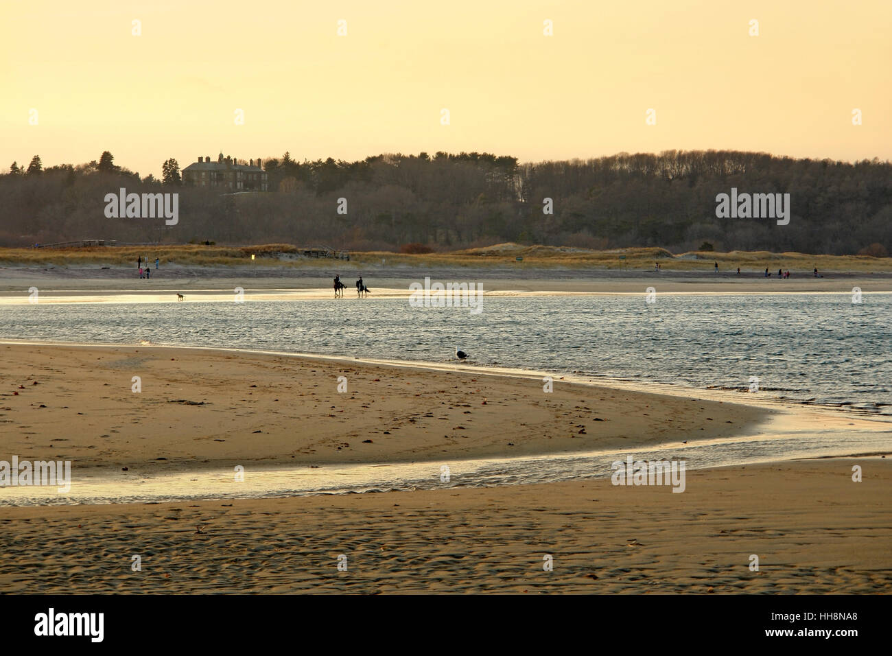 beach, seaside, the beach, seashore, usa, america, north america ...