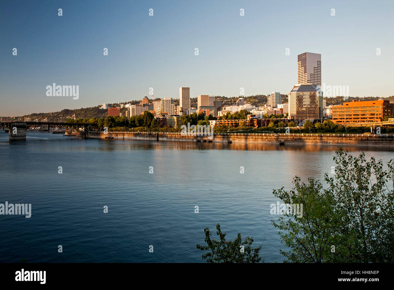 Willamette river hi-res stock photography and images - Alamy