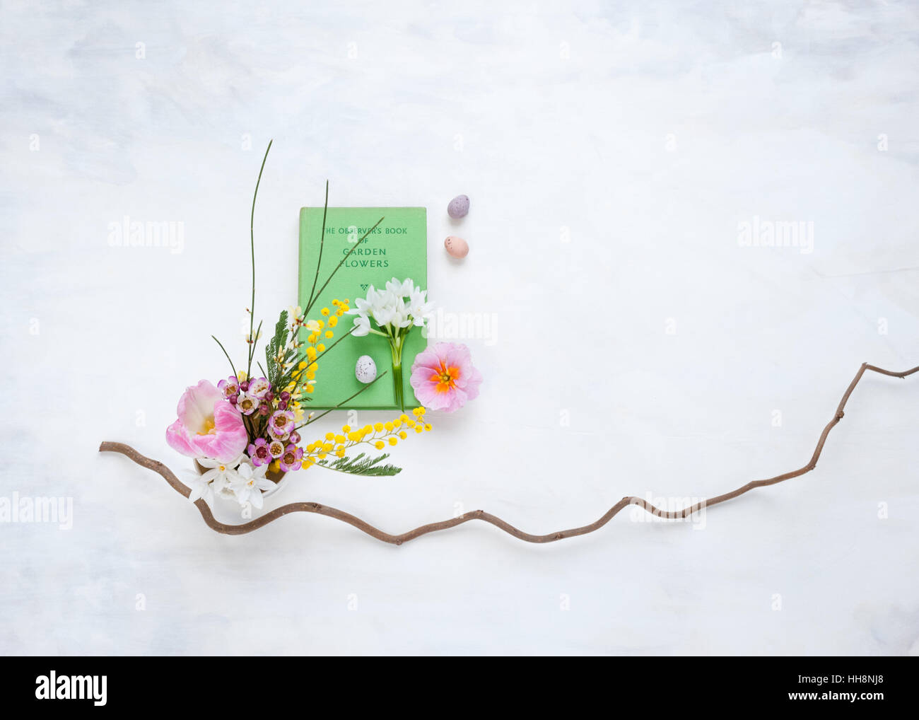 flat lay with spring flowers laid out on white and gray painted ...