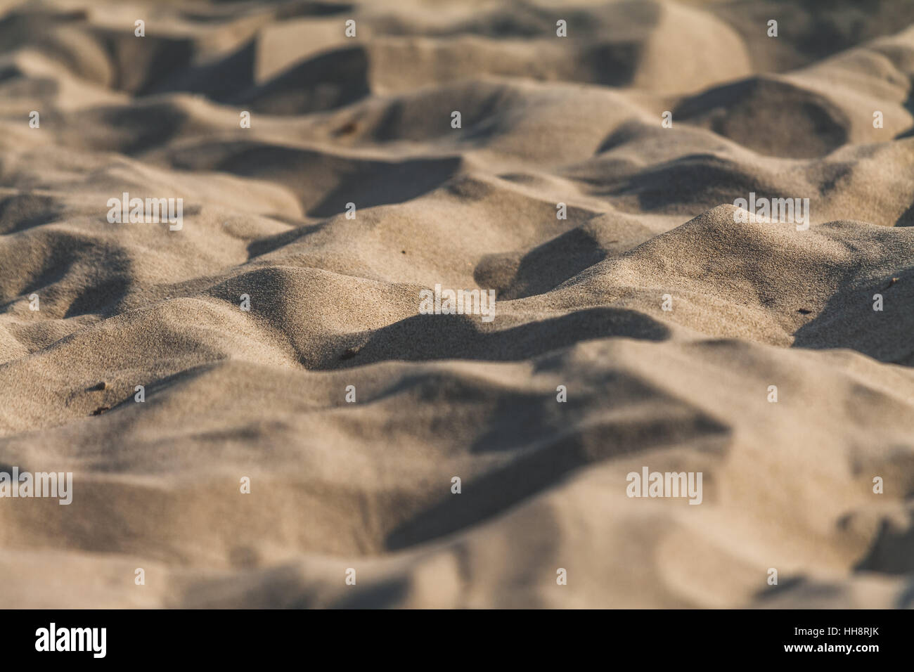 sand dunes on the beach closeup Stock Photo - Alamy