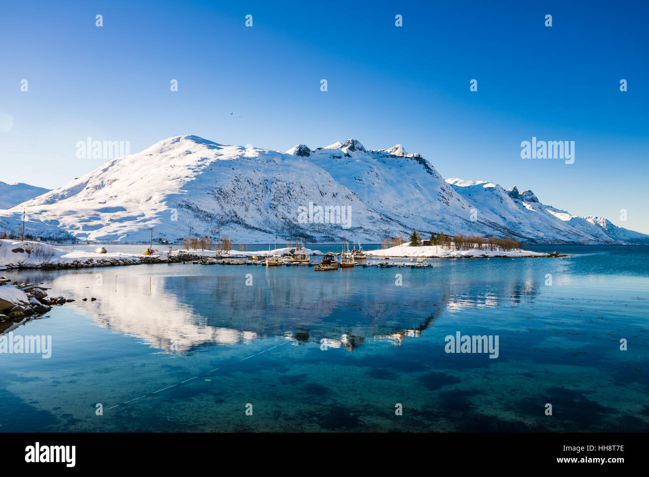 Norwegian fjords sognefjorden hi-res stock photography and images - Alamy