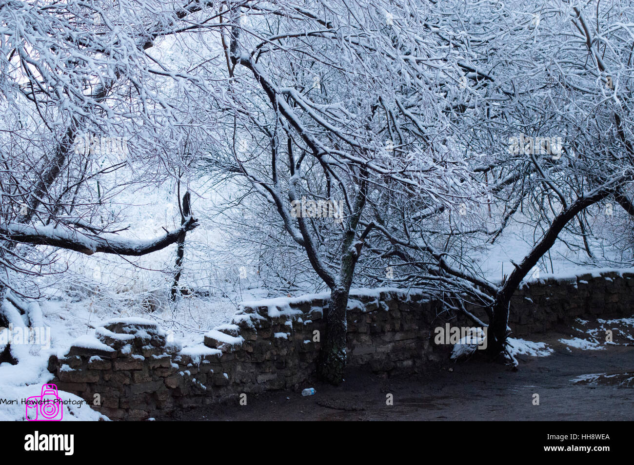 Snowy wall hi-res stock photography and images - Alamy