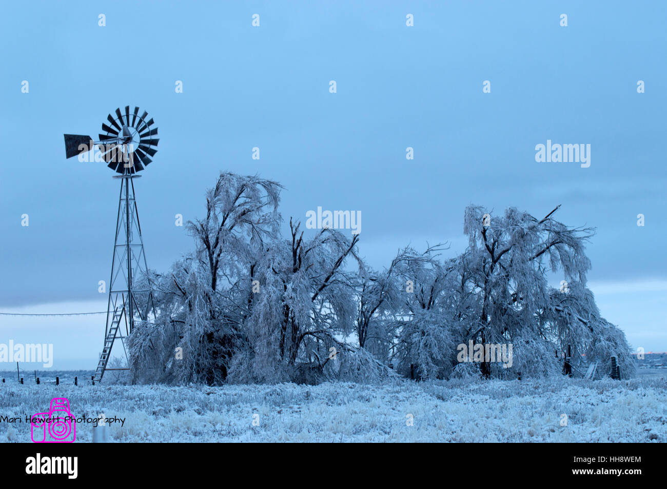 Amarillo Snow