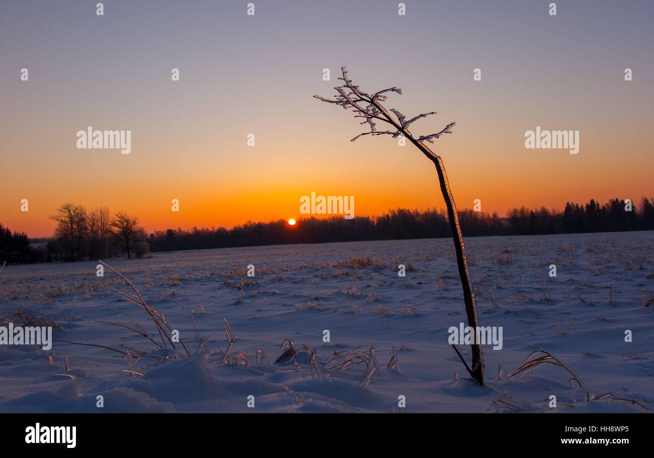 Snow winter morning hi-res stock photography and images - Alamy