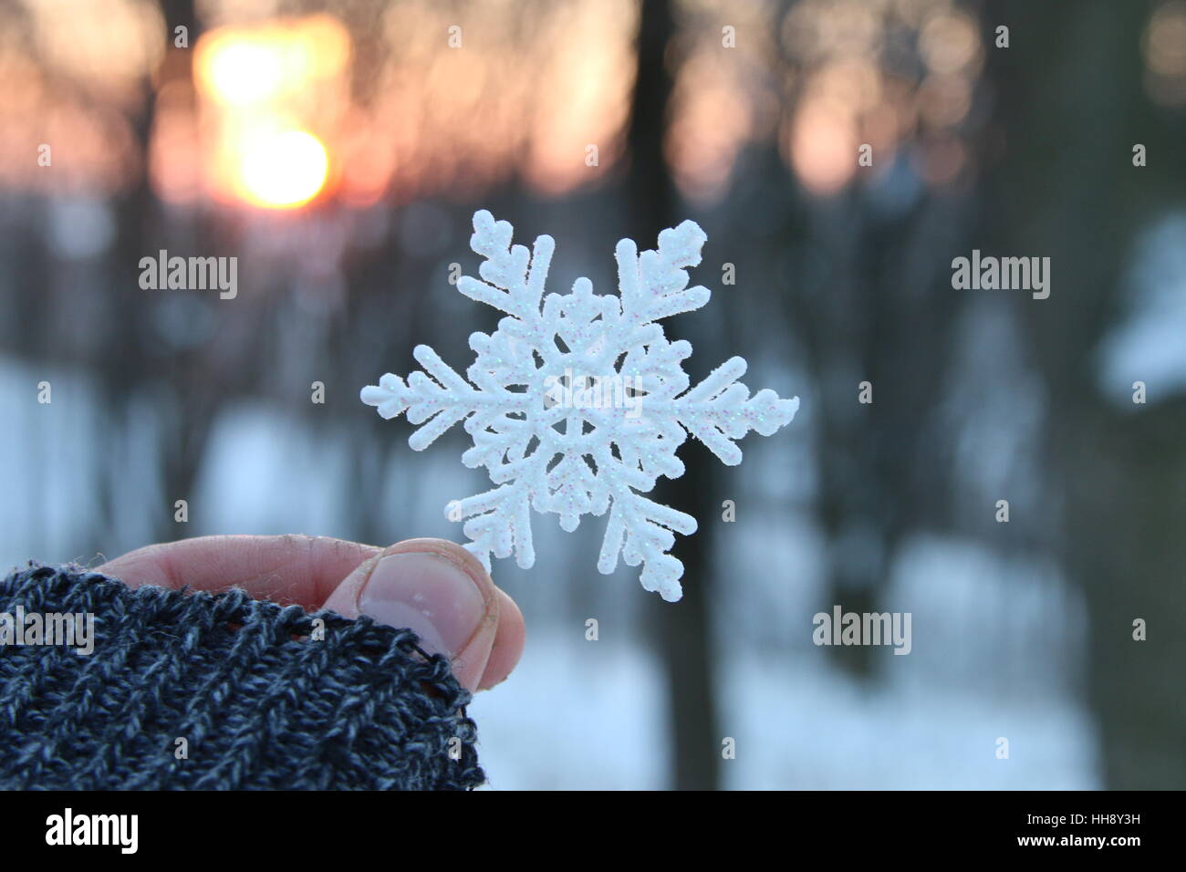 Snowflake january hi-res stock photography and images - Alamy