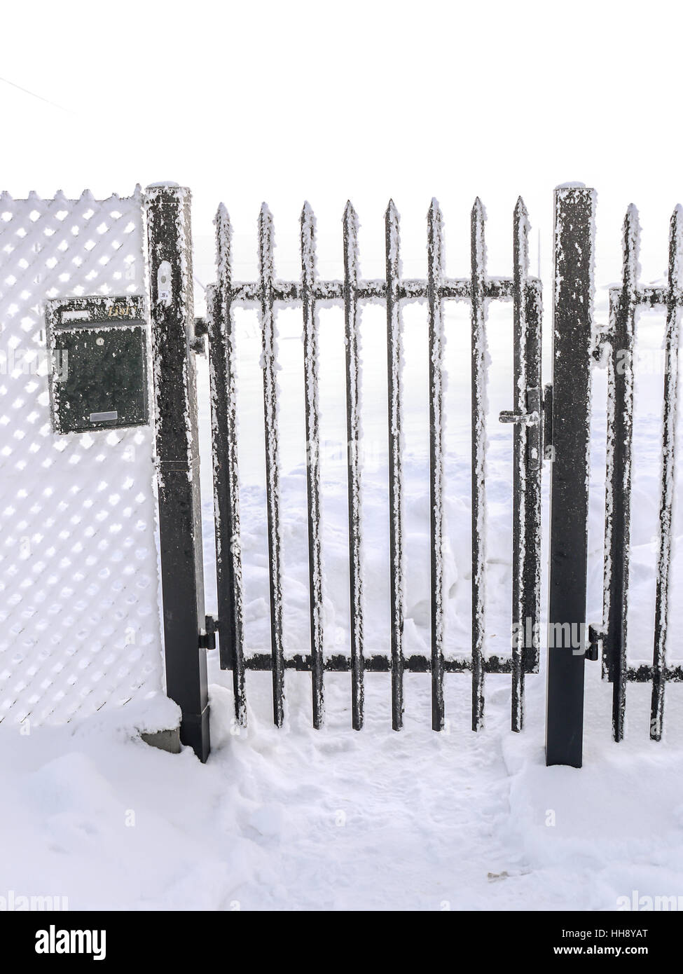 Frosted metal gate with fence in winter time Stock Photo - Alamy