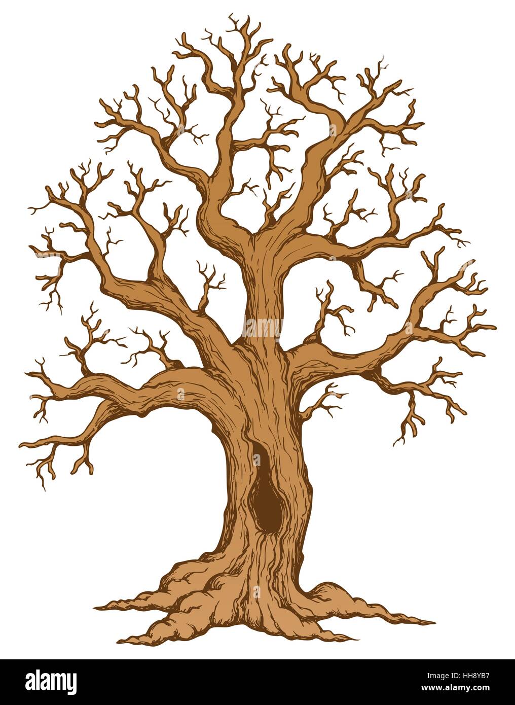 environment, enviroment, tree, ecology, ecological, nature, natural ...