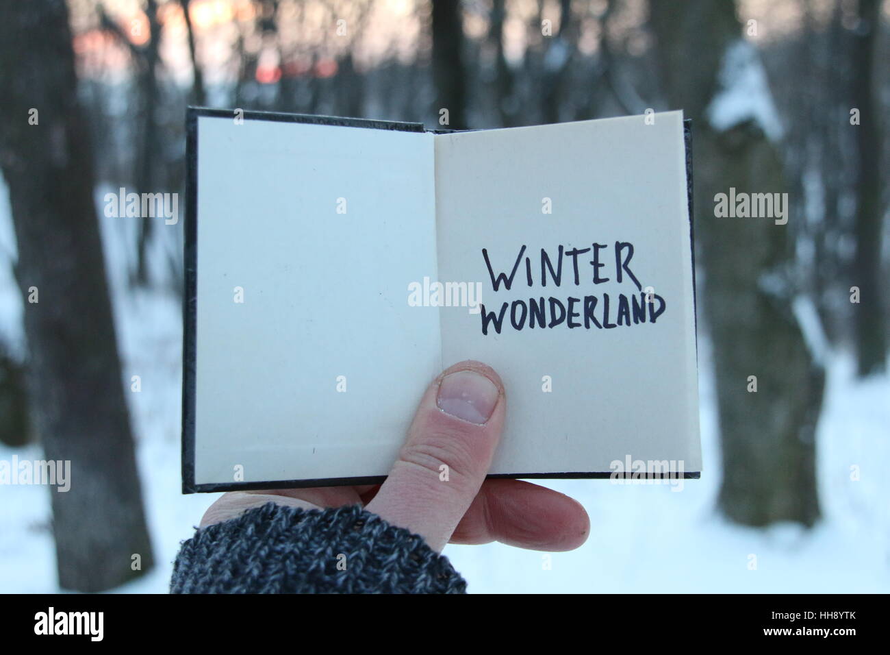 Winter wonderland idea. Book with text and snowy winter park Stock ...