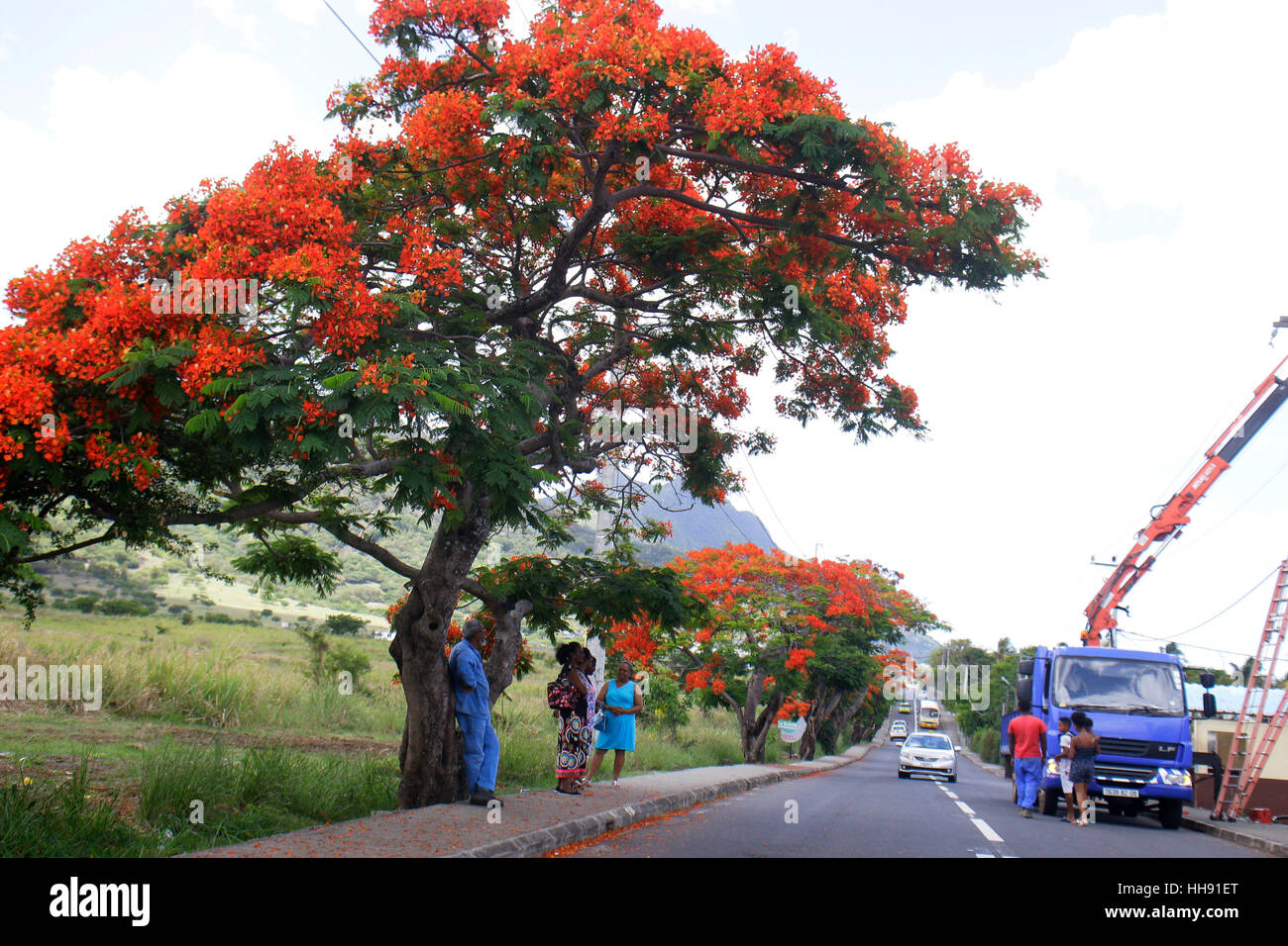 Bel Ombre region is bordered by a mountain range and national park, the ...