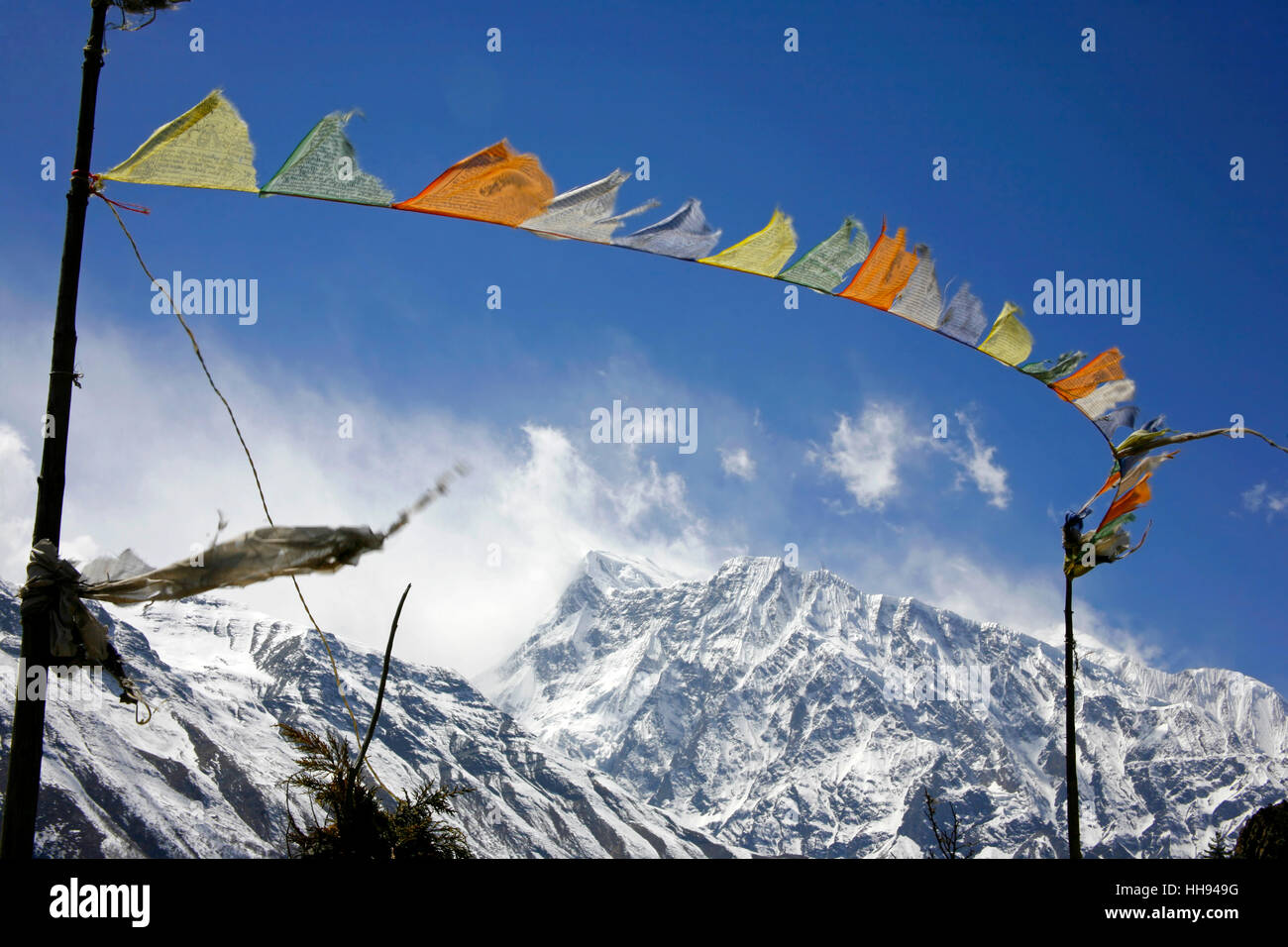 blue, religion, religious, temple, asia, coloured, colourful, gorgeous ...