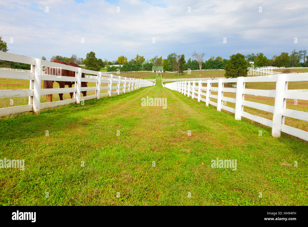 agriculture, farming, farm, fences, country, pasture, landscape ...