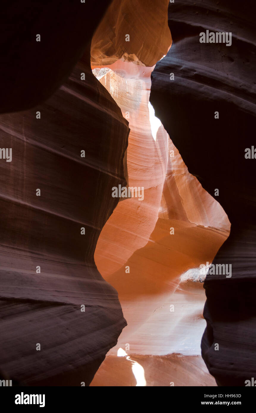 environment, enviroment, america, arizona, Canyon, environment ...