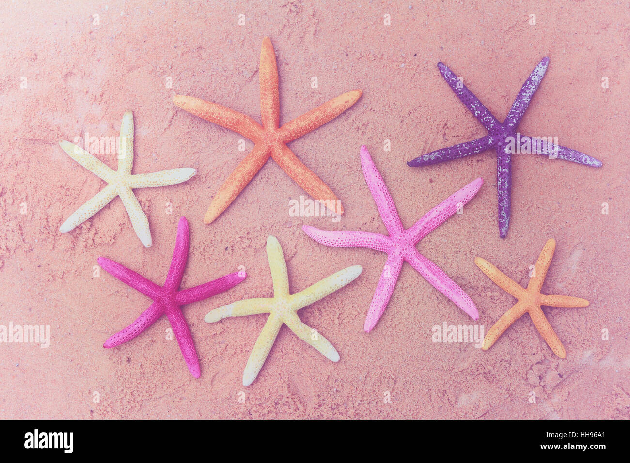 Star fish arranged on sandy beach Stock Photo - Alamy