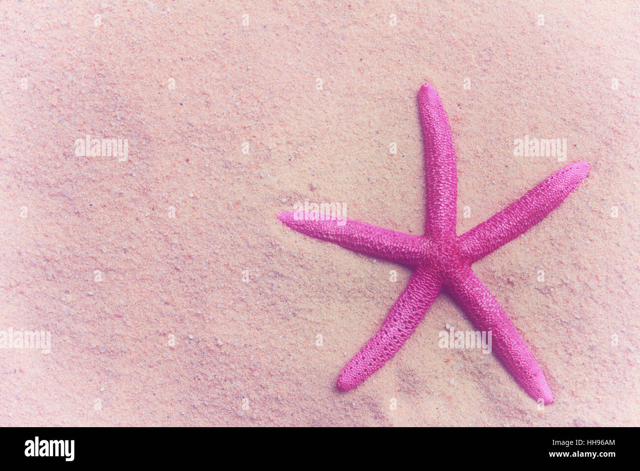 Pink Starfish on sand Stock Photo - Alamy