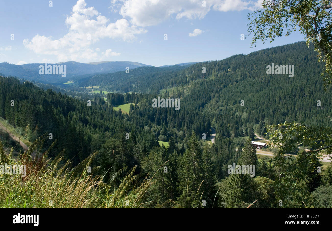 black forest, panoramic, bathing, corridor, hill, holiday, vacation ...