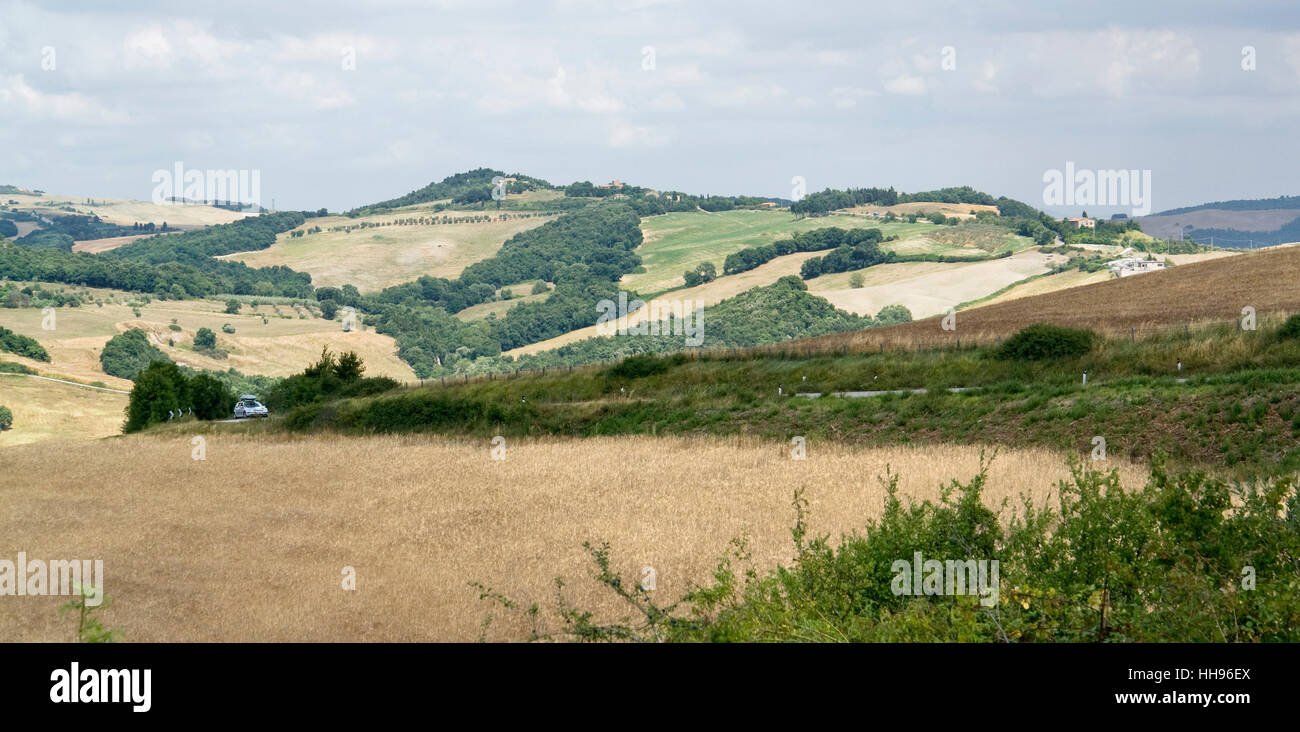 bucolic, agriculture, farming, tuscany, viticulture, scenery ...