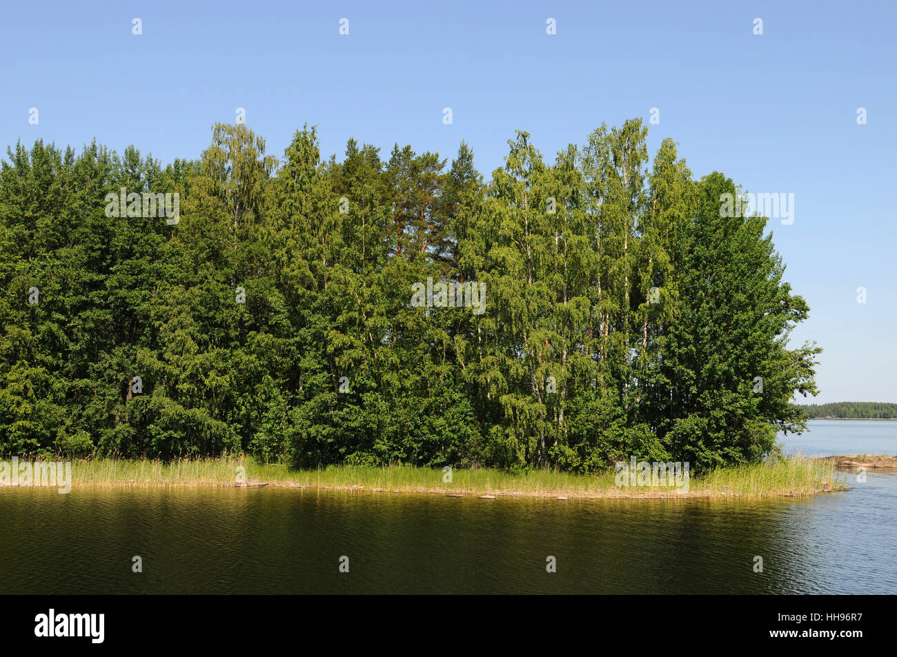 tree, trees, finland, finnish, isle, island, blue, travel, tree ...