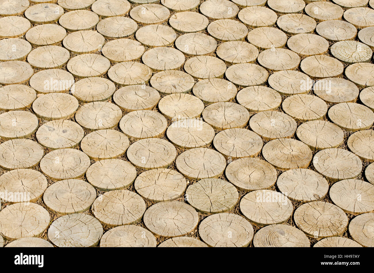 environment, enviroment, tree, wood, trunk, recycling, backdrop ...