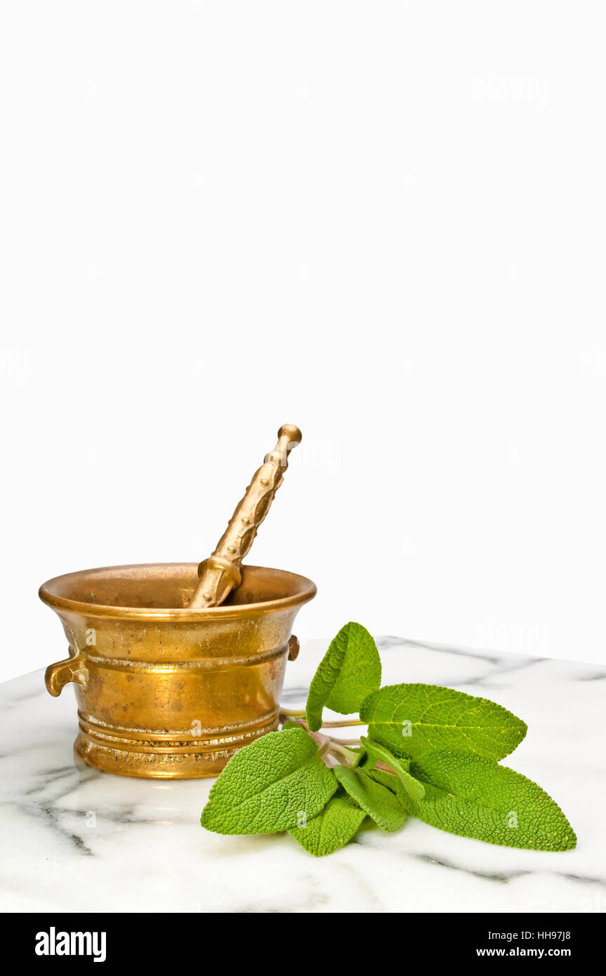 Sage tea boil hi-res stock photography and images - Alamy