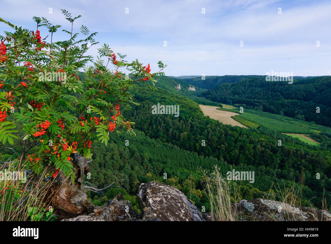 View from rock schwalbenfelsen into thaya valley hi-res stock ...