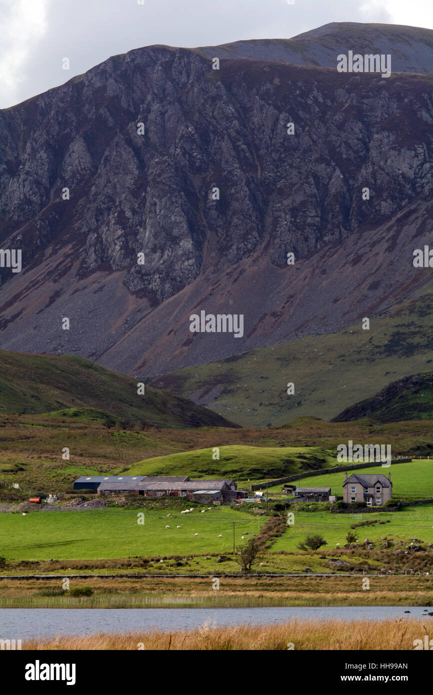 Garnedd Goch, near Beddgelert,Snowdonia Stock Photo - Alamy