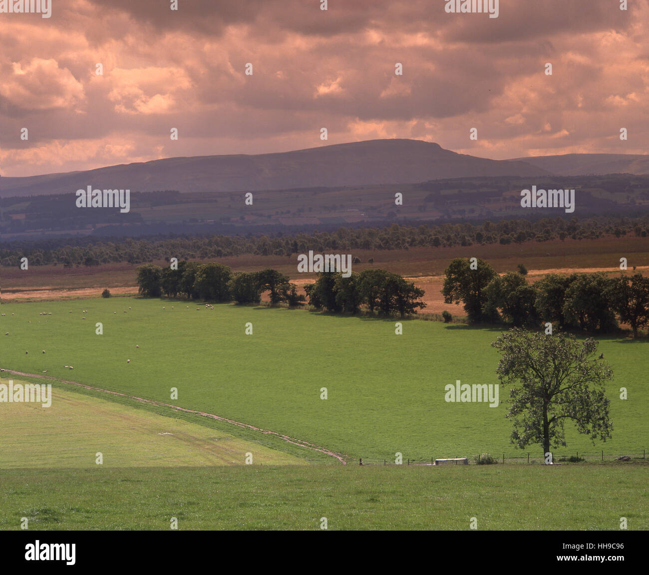 Countryside around Thornhill across carron Valley towards the Fintry ...