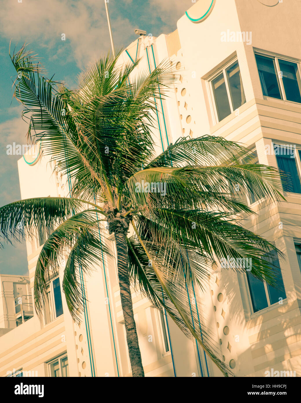 vintage style image of palm tree and art deco architecture from South ...