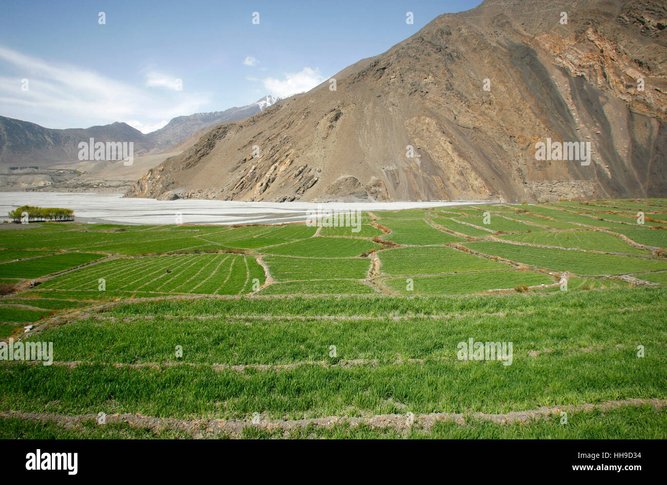 Nepal irrigation field crop hi-res stock photography and images - Alamy