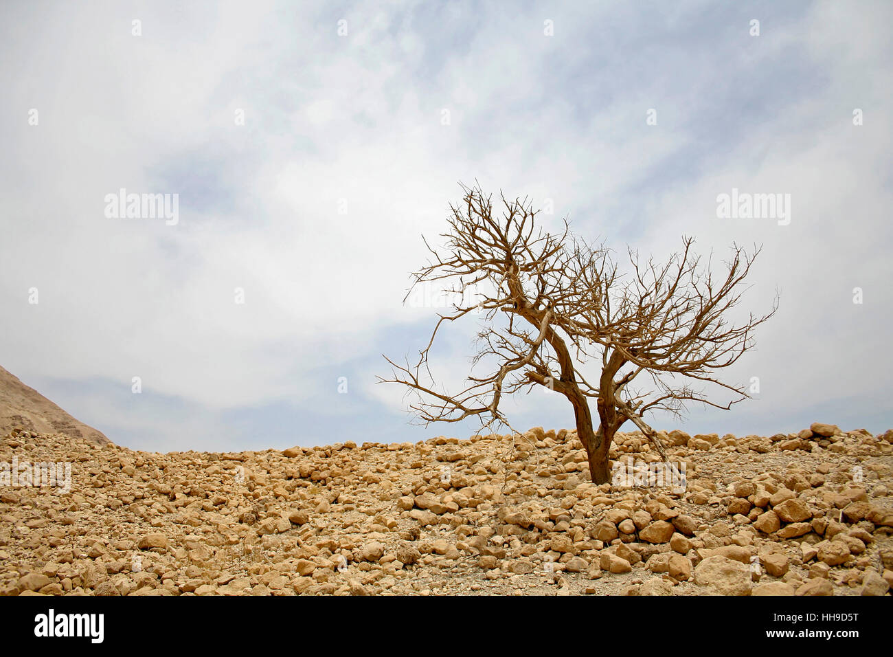 blue, travel, big, large, enormous, extreme, powerful, imposing ...