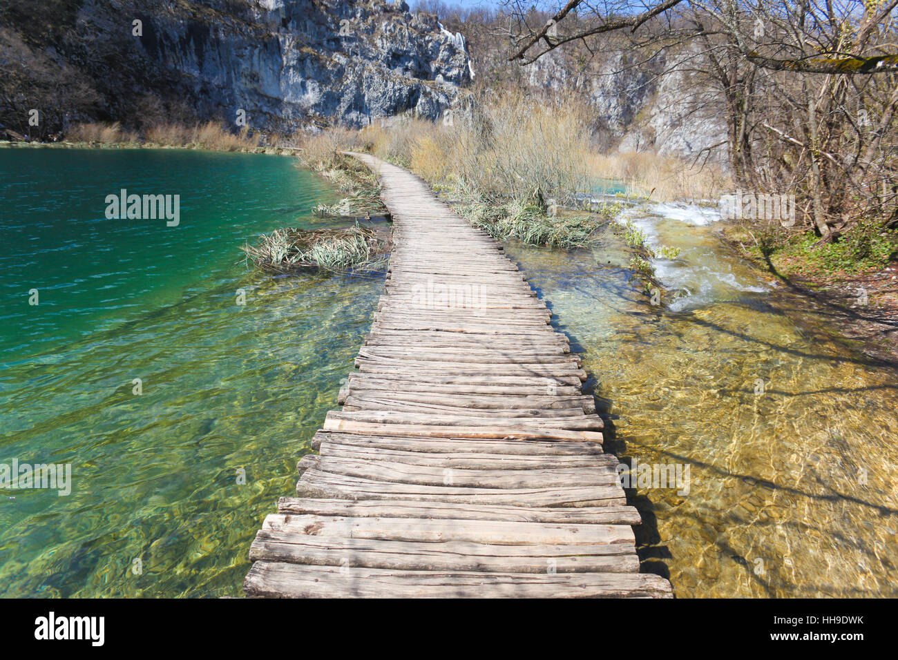 blue, walk, go, going, walking, beautiful, beauteously, nice, tree ...