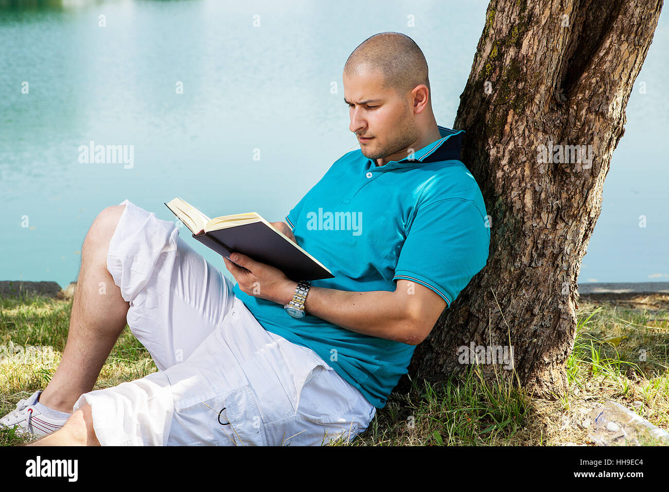 blue, travel, spare time, free time, leisure, leisure time, tree, trees ...