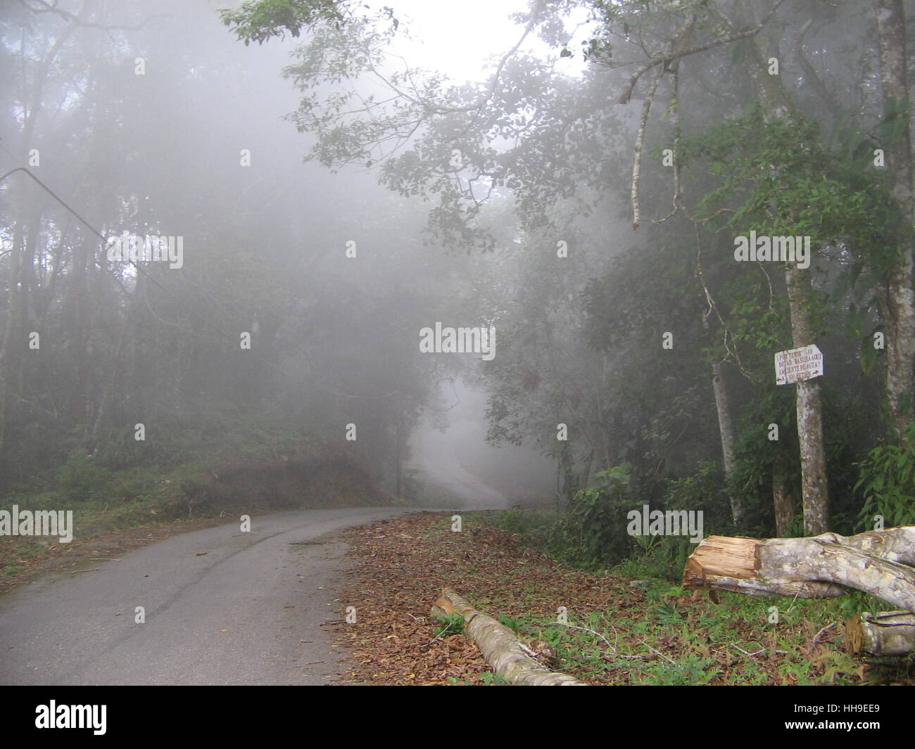 Road to the mountains of Trujillo, Venezuela Stock Photo - Alamy