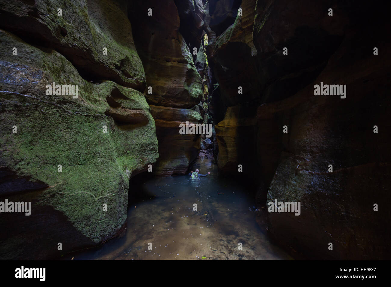 Australian yabby hi-res stock photography and images - Alamy