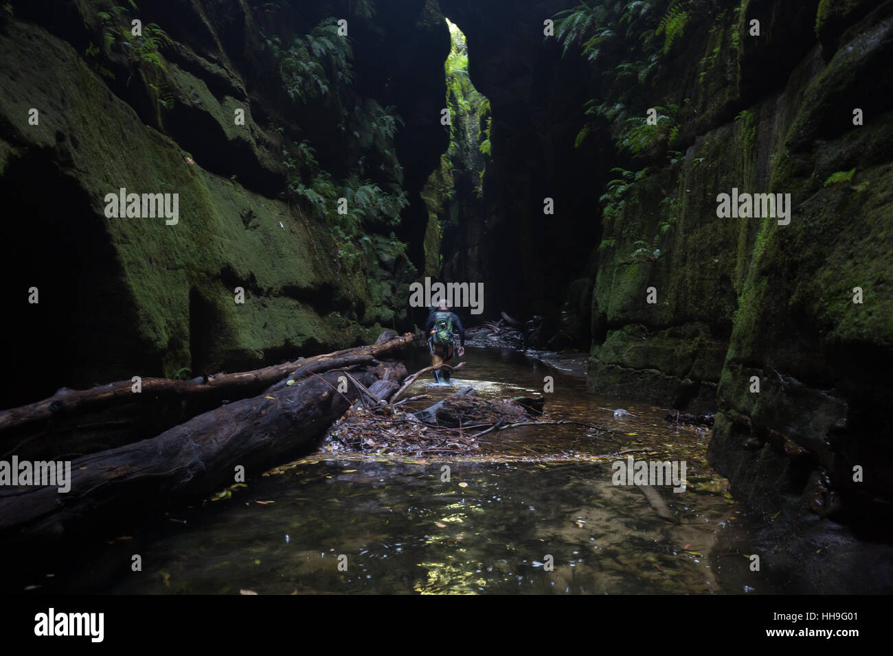 Australian yabby hi-res stock photography and images - Alamy