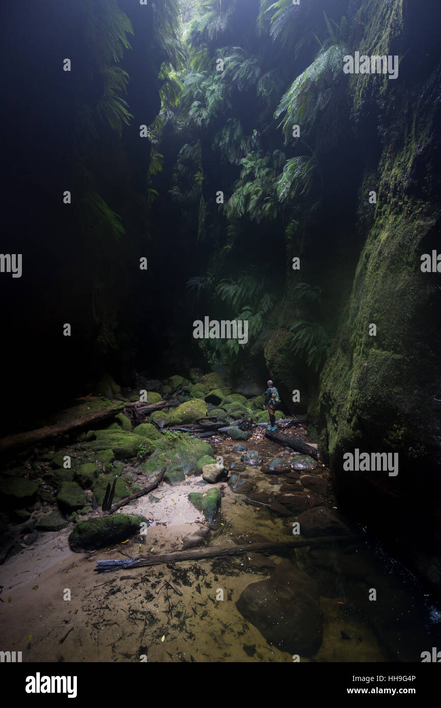 Claustral canyon australia hi-res stock photography and images - Alamy