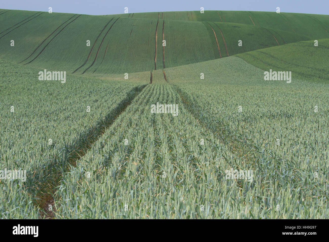 hill, agriculture, farming, farmland, landscape, scenery, countryside ...