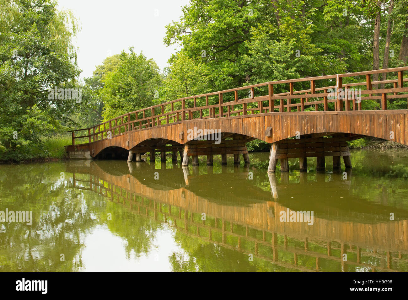 tree, bridge, country, season, wooden, river, water, nature, motion ...
