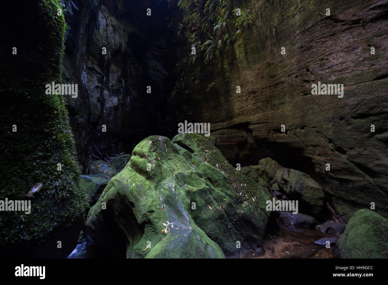 Adventure canyoning in claustral canyon in the Blue Mountains ...