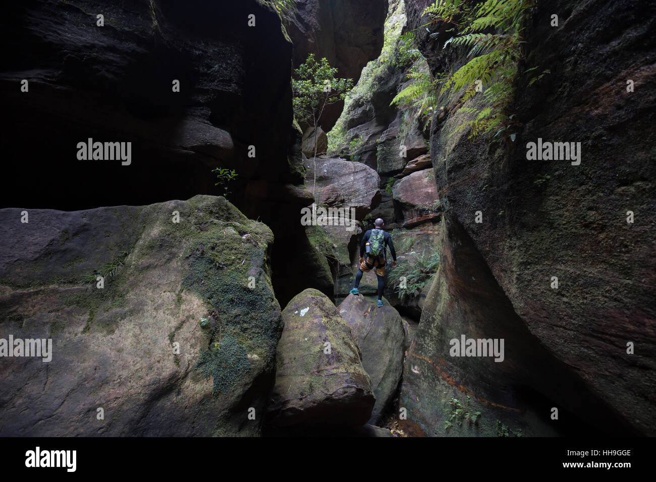 Australian yabby hi-res stock photography and images - Alamy