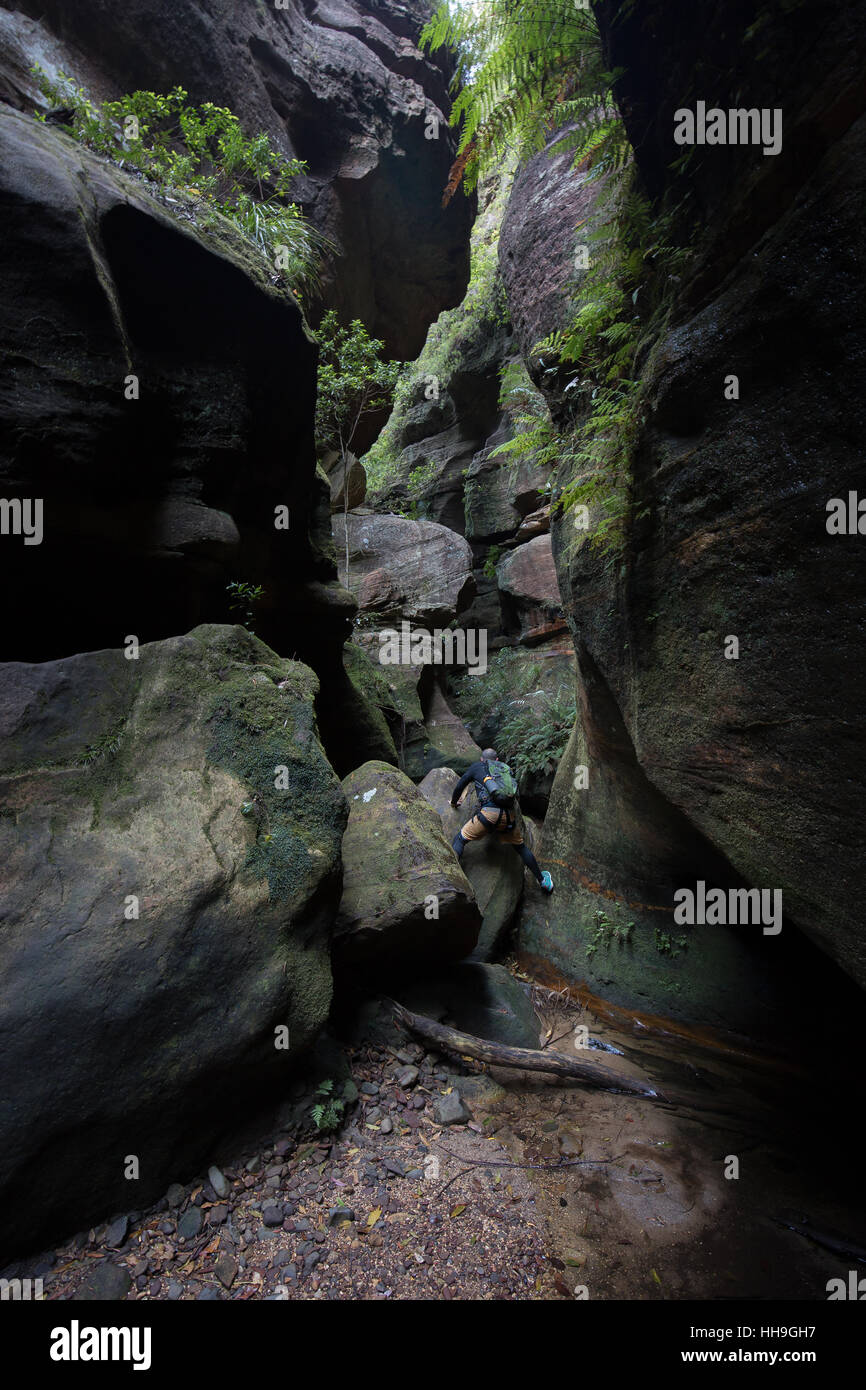 A man adventure canyoning in claustral canyon in the Blue Mountains ...