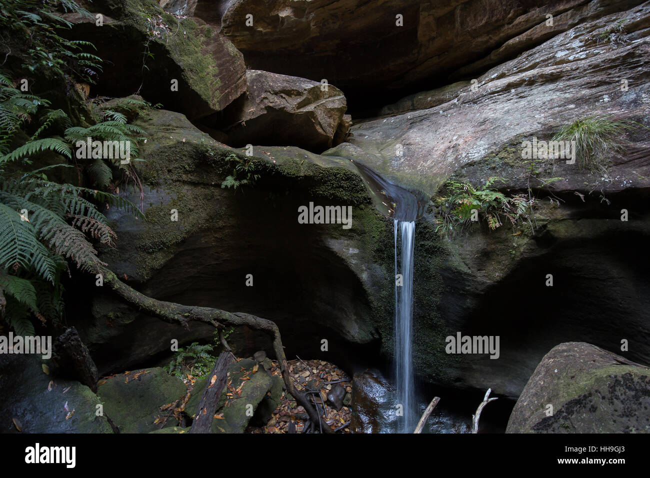 Waterfall in claustral canyon in the Blue Mountains, Australia Stock ...