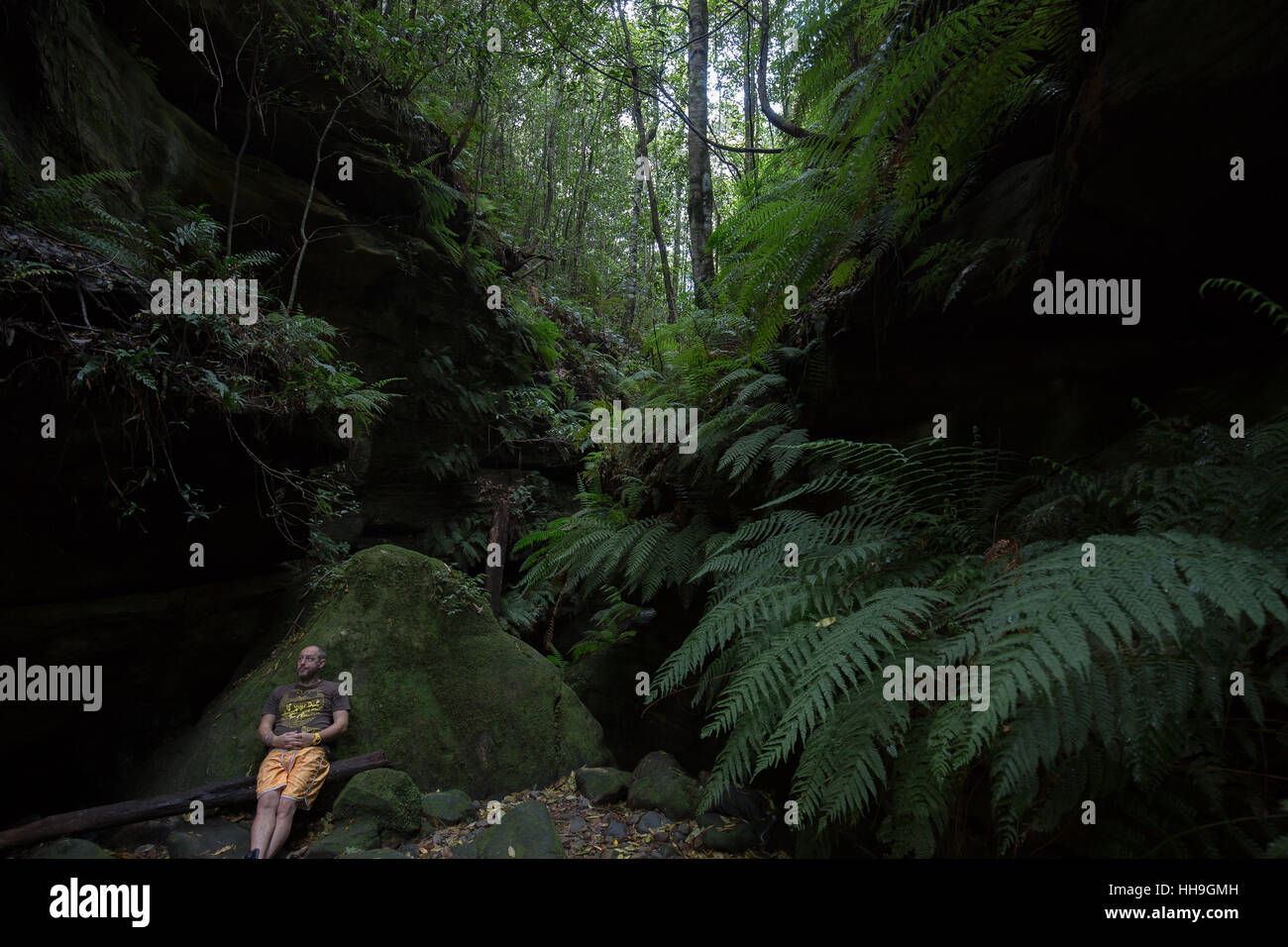 Adventure canyoning in claustral canyon in the Blue Mountains ...